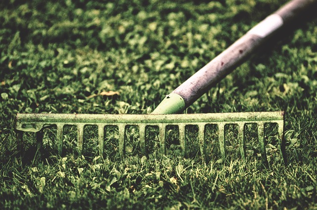Best Rake For Dead Grass 2023 Top Picks