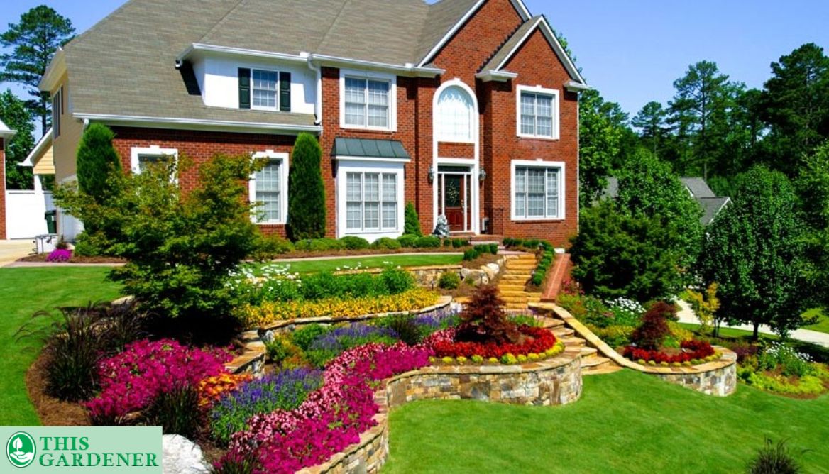 Crab Grass Vs Bermuda Grass 10 Key Differences And The Winner